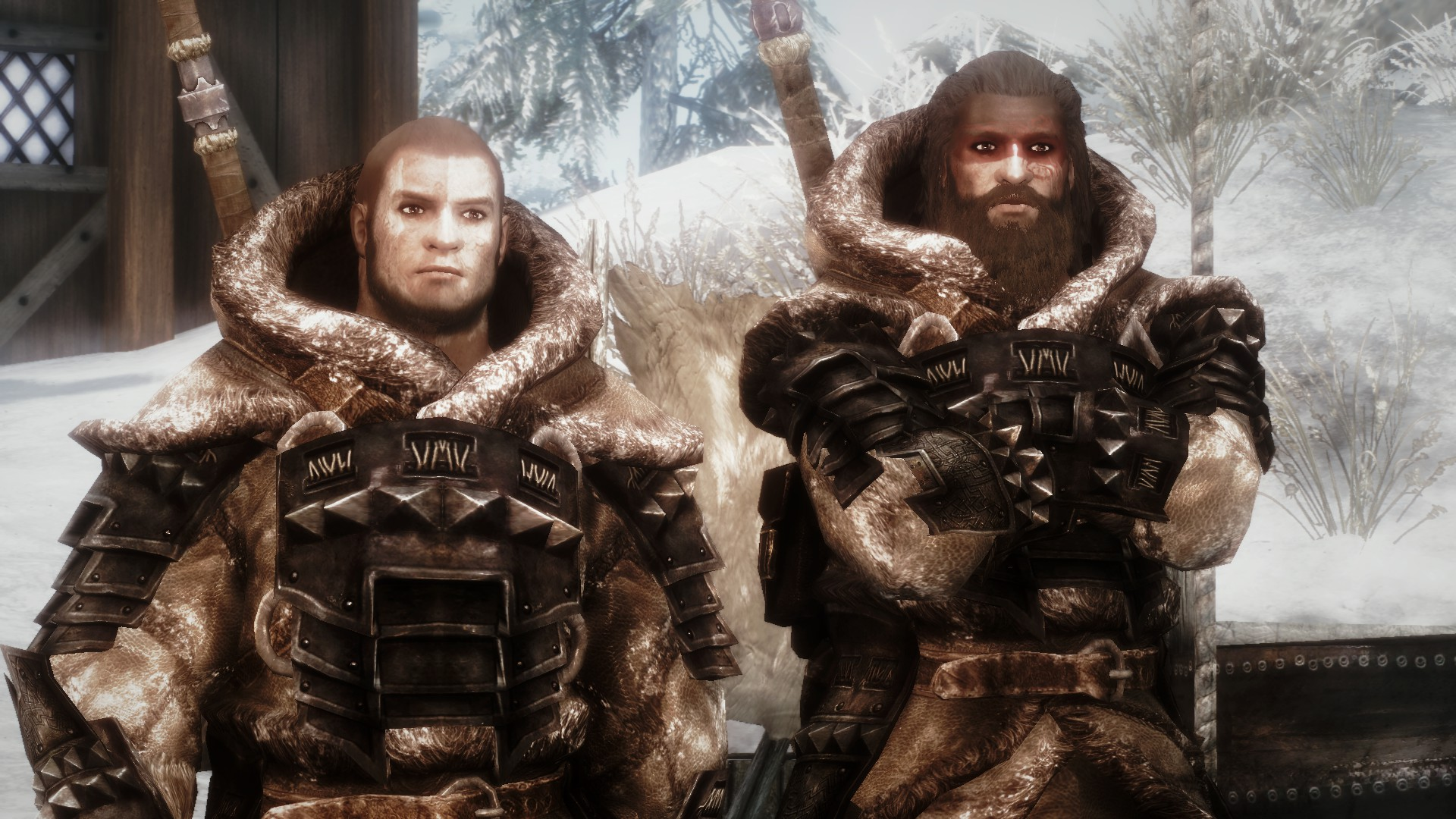 Лучшие моды для отыгрыша викинга в Skyrim