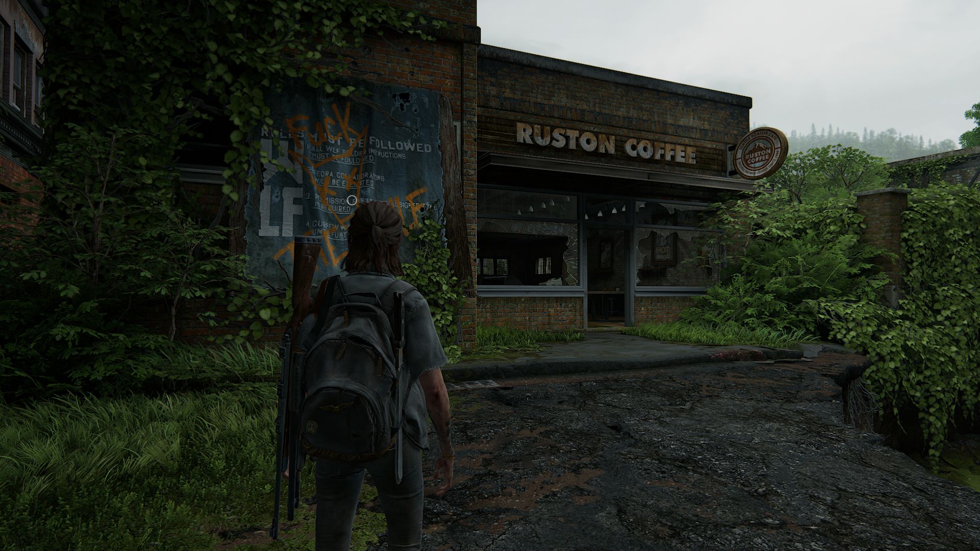Гайд The Last of Us: Part 2 Remastered — Где найти все дневники